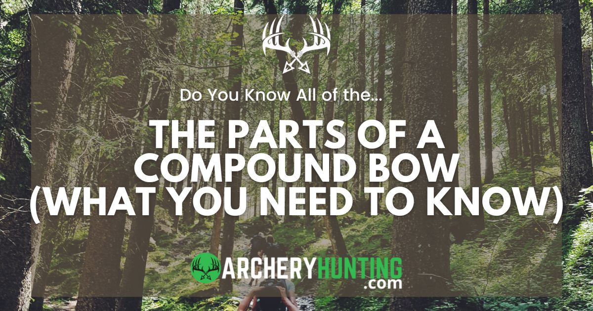 The Parts of a Compound Bow (What You Need to Know)