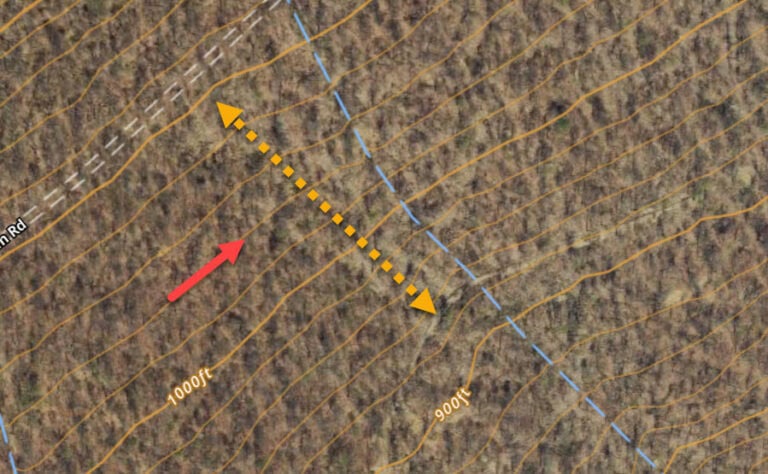 How to Scout & Hunt Edge and Transition Areas for Deer