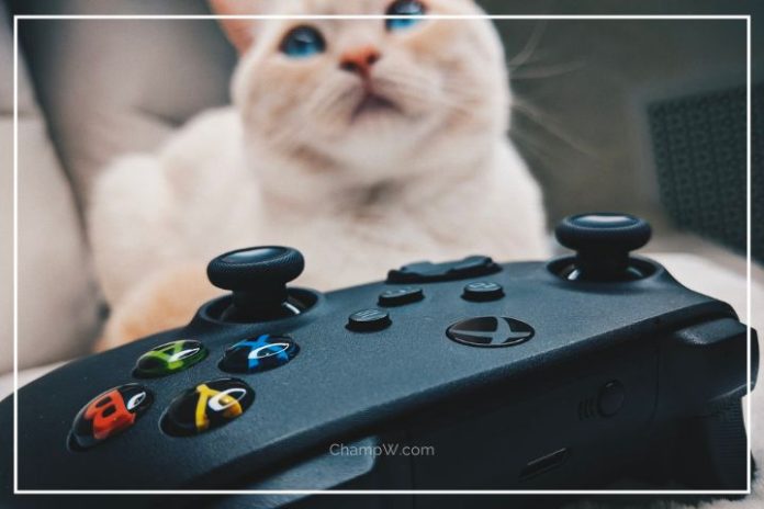 250+ Funny Xbox Gamertags That Are Stylish And Cool