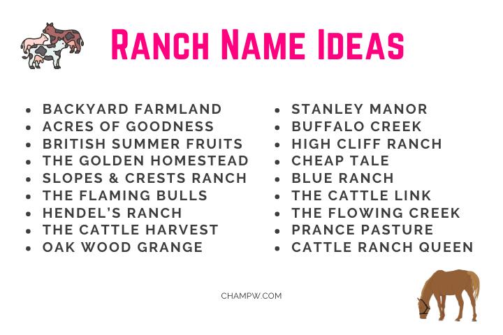 350+ Ranch Names That Have A Lot Of Meaning