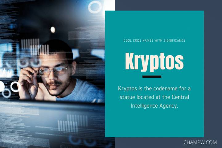 1000+ Cool Code Names With Meaning For Every Purpose