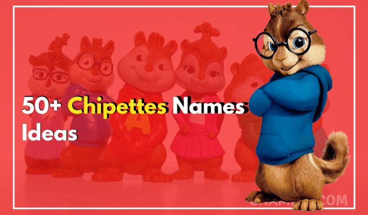 50+ Chipettes Names That Are Easy To Remember And Spell