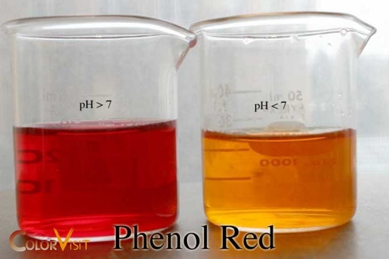 Why Does Phenol Red Change Color? PH Indicator!