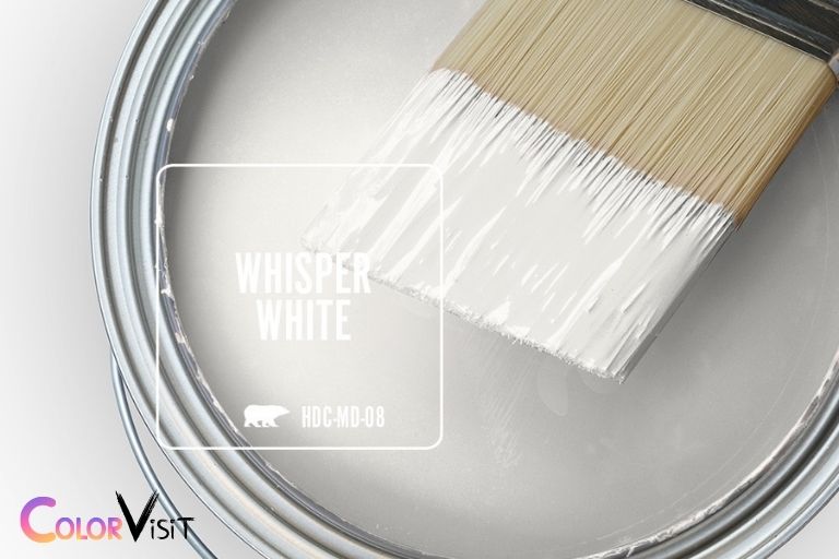 What Is Optic White Color? Bright, Pure & Clean, White Shade