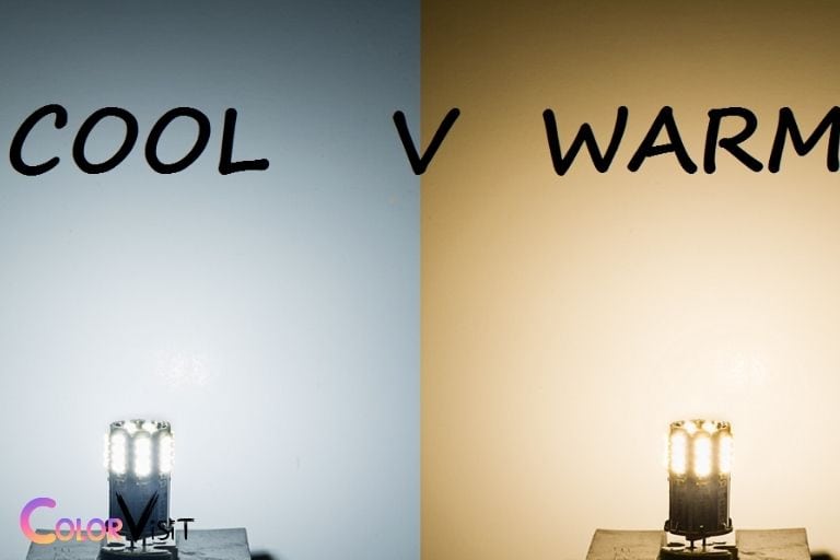 Egret Color Vs White Color! 5 Common Point Comparison!