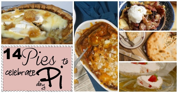 14 Pies to Celebrate Pi Day! - Nerdy Mamma