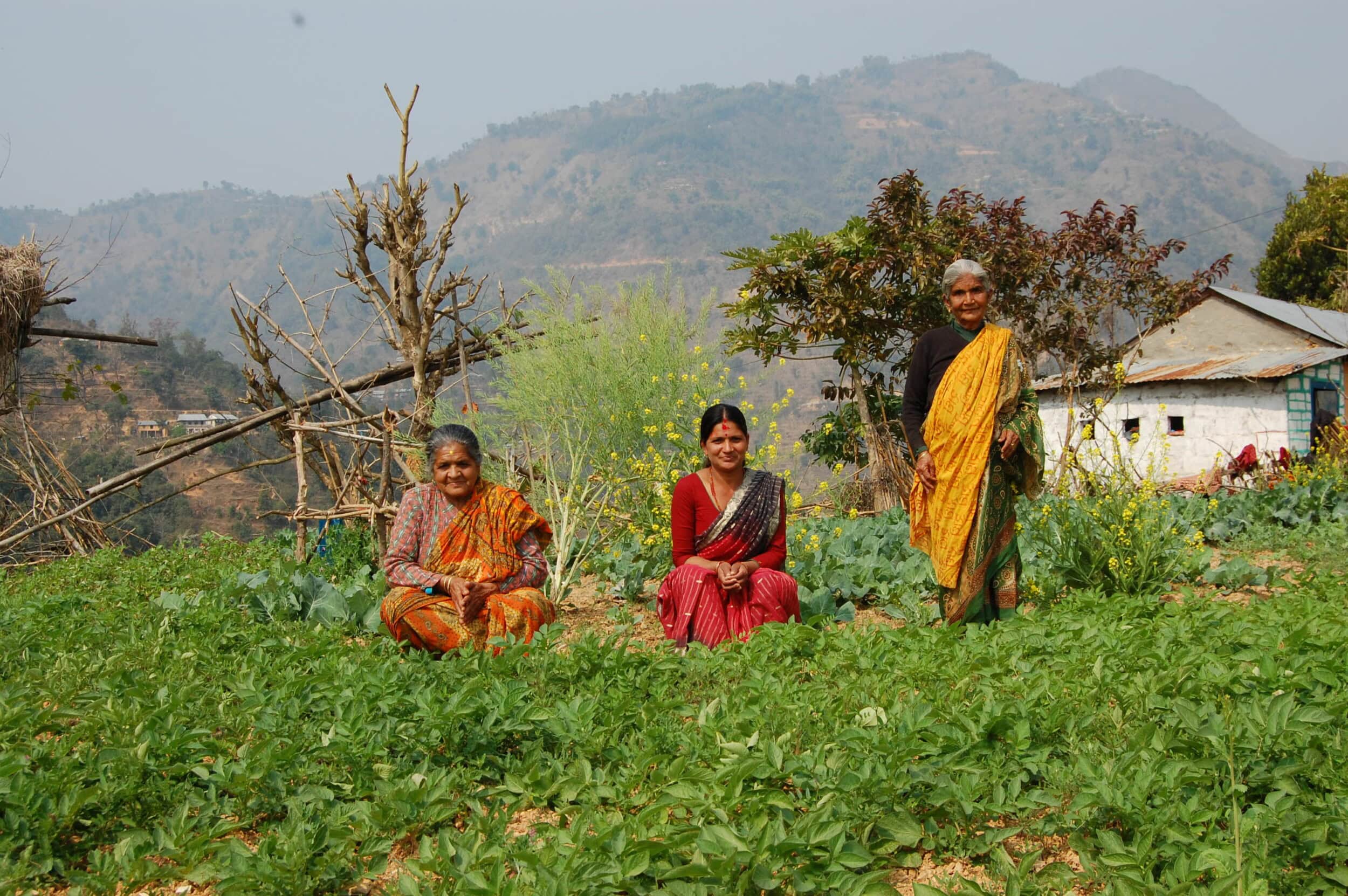 Hydraulic Ram Pumps (Hydram) - Renewable World