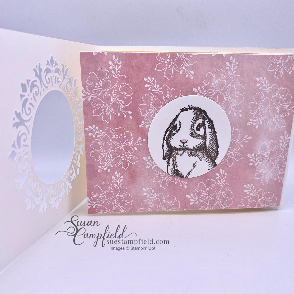 Window Visions Fun Fold Cards! - Suestampfield