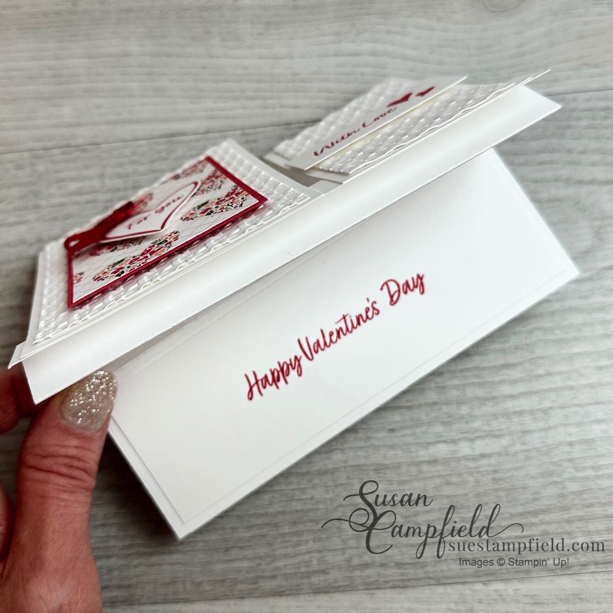 Double Faux Step Fold Card Tutorial Bundle - Suestampfield