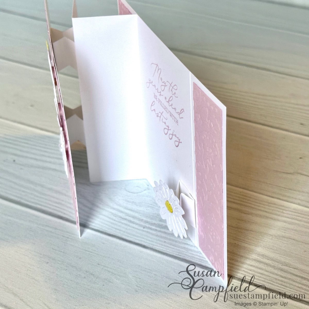 Springboard Fun Fold Cards - Suestampfield