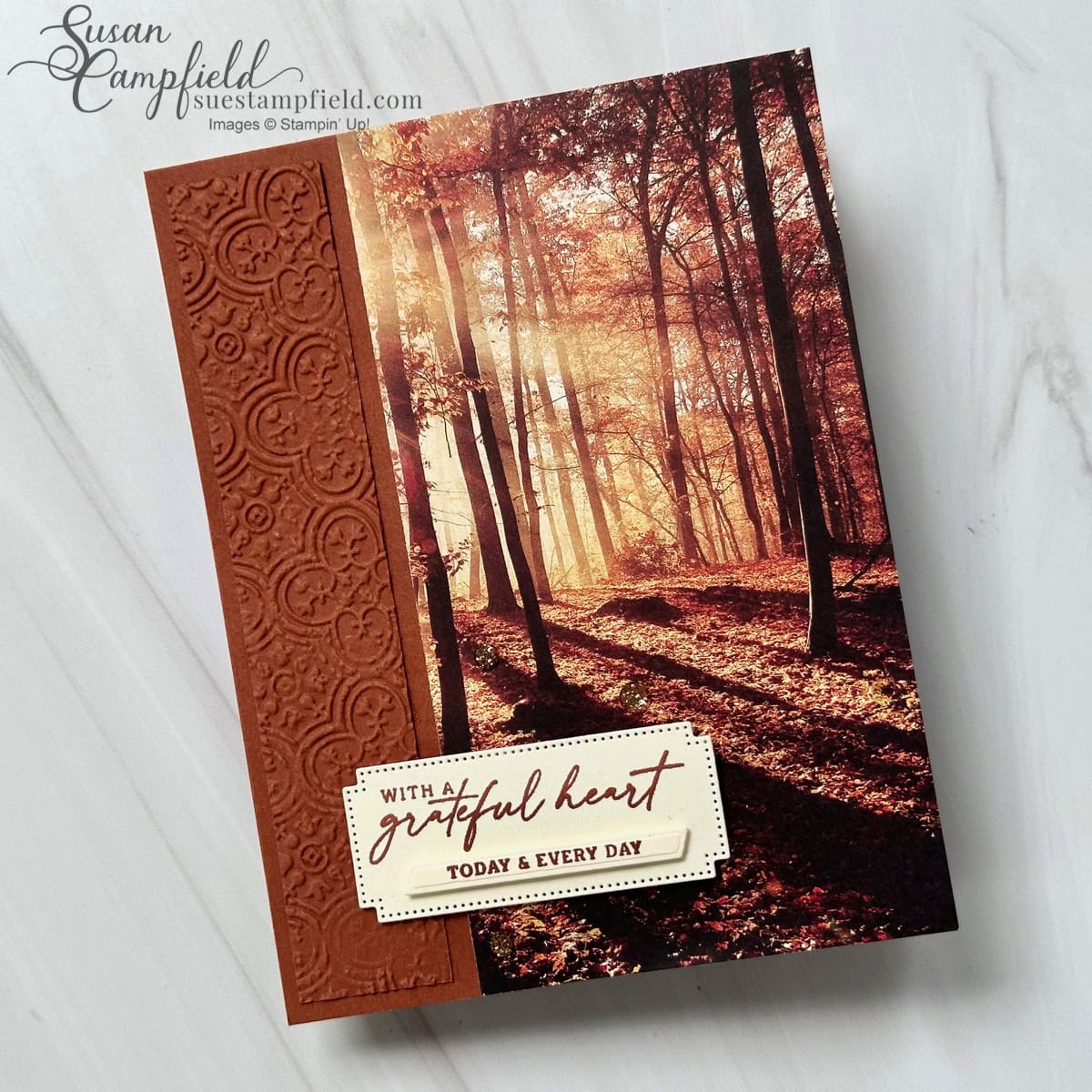 Squeeze Box Fun Fold Card Tutorial - Suestampfield