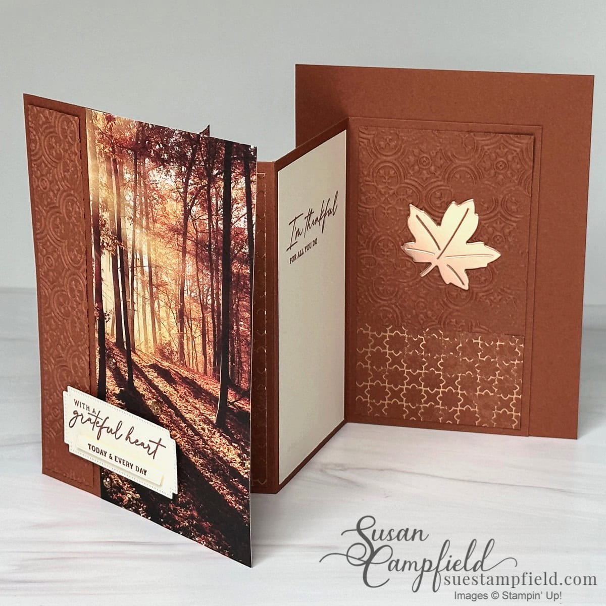 Squeeze Box Fun Fold Card Tutorial - Suestampfield