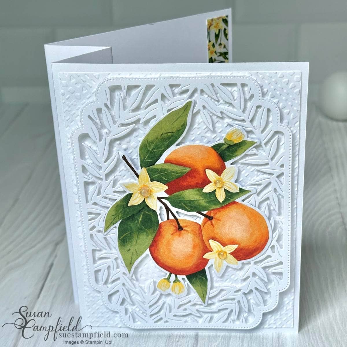 Ping Pong Pop Up Cards from May Crafternoon - Suestampfield