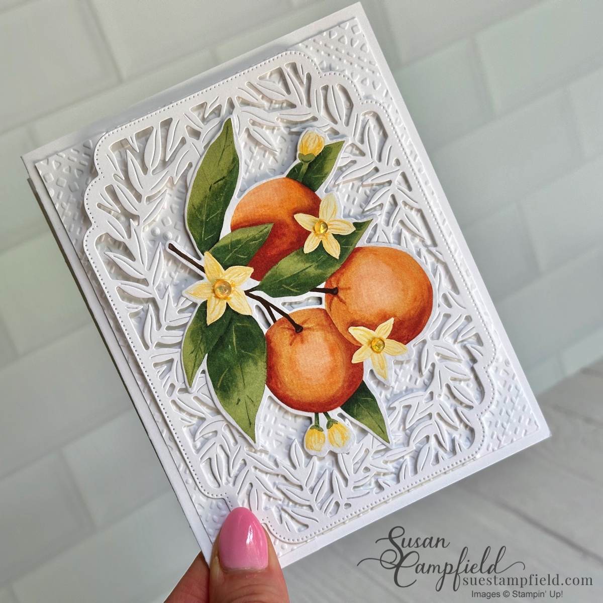 Ping Pong Pop Up Cards from May Crafternoon - Suestampfield