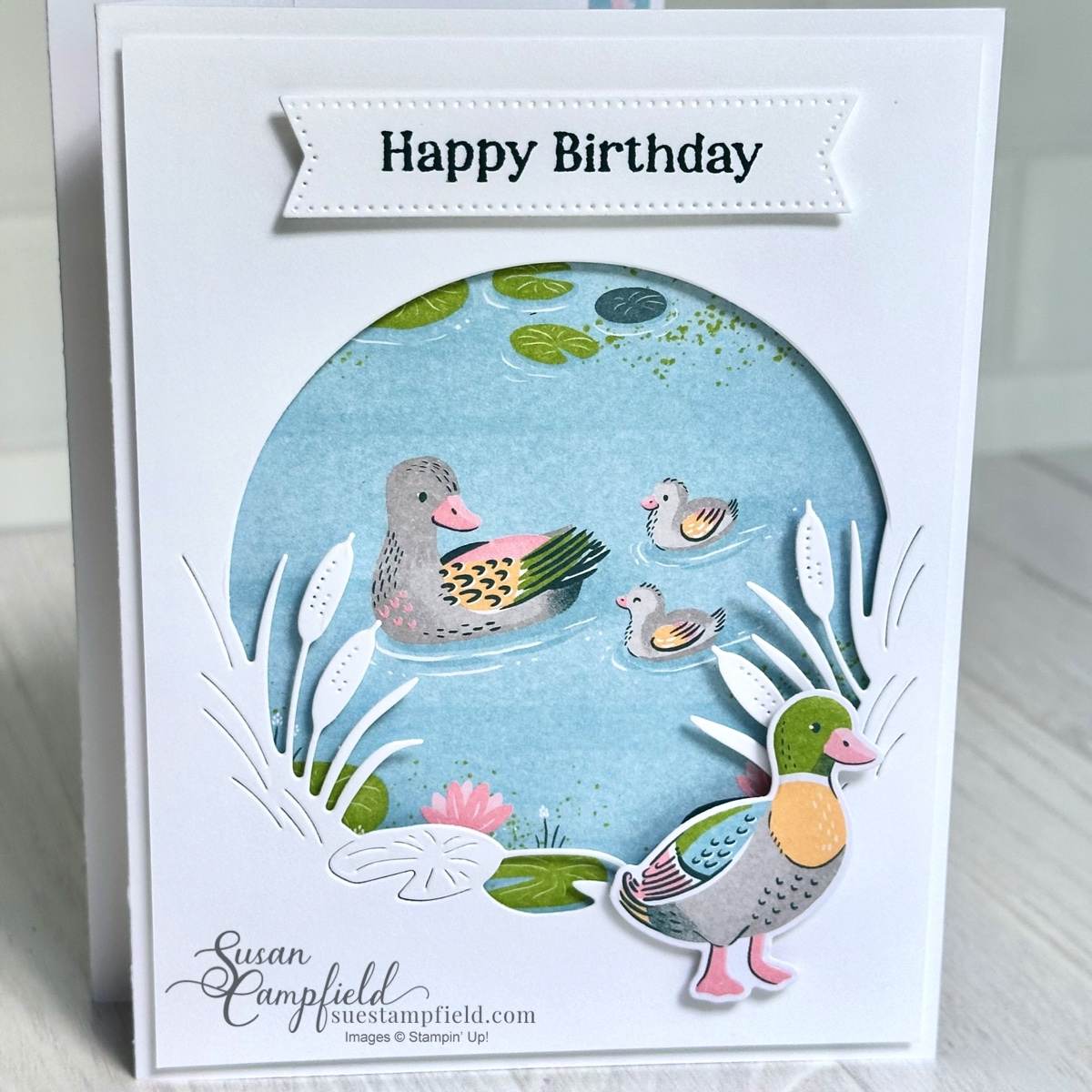 Ping Pong Pop Up Cards from May Crafternoon - Suestampfield