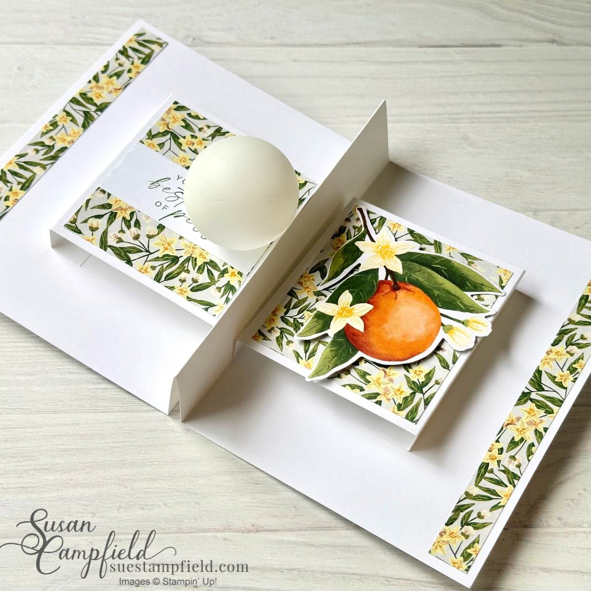 Ping Pong Pop Up Cards from May Crafternoon - Suestampfield