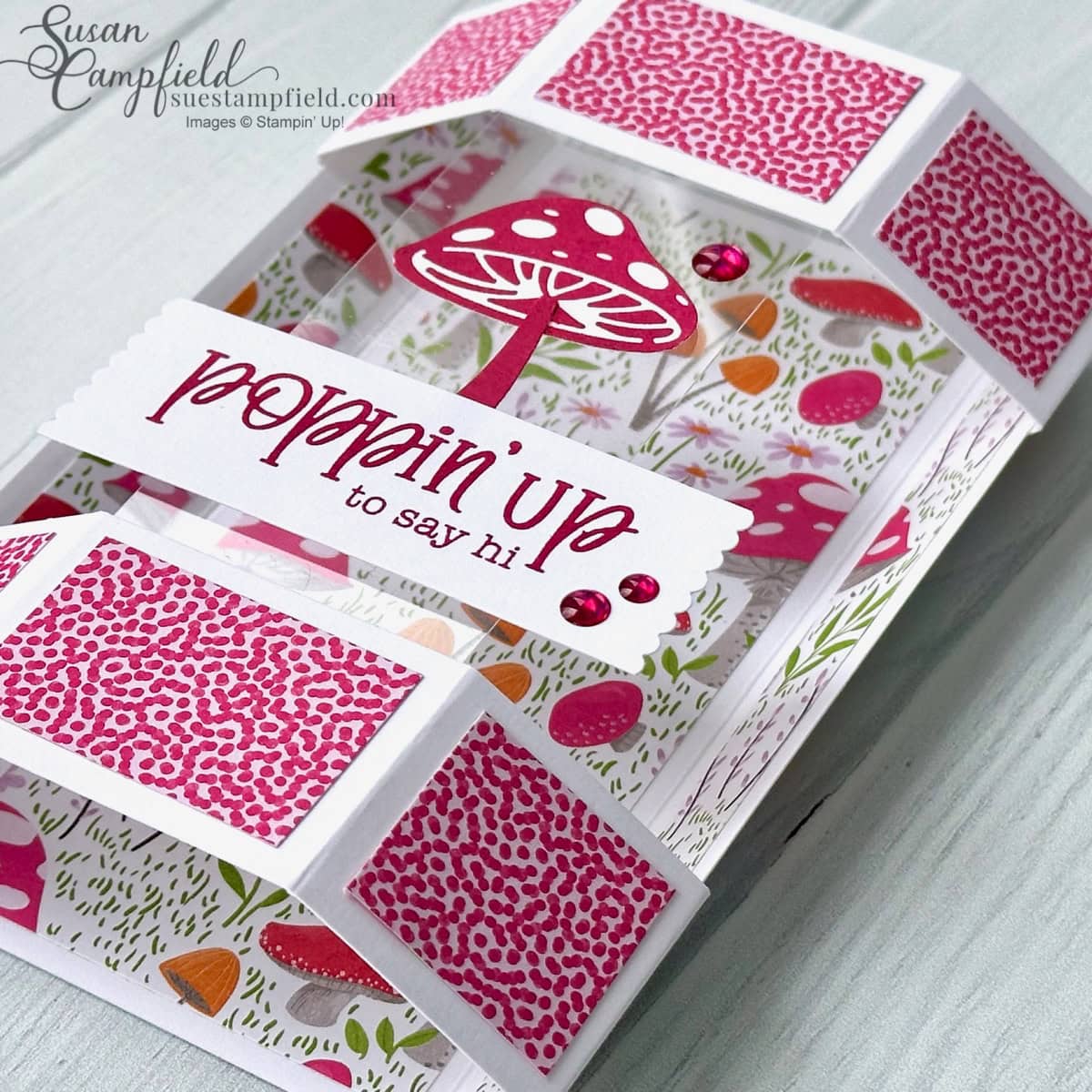 Floating Vertical Bandstand Pop Up Card Tutorial - Suestampfield