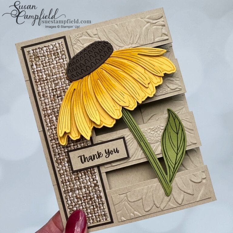 New Fun Fold! Quadruple Z Fold Cards Tutorial | June Crafternoon 2025! - Suestampfield