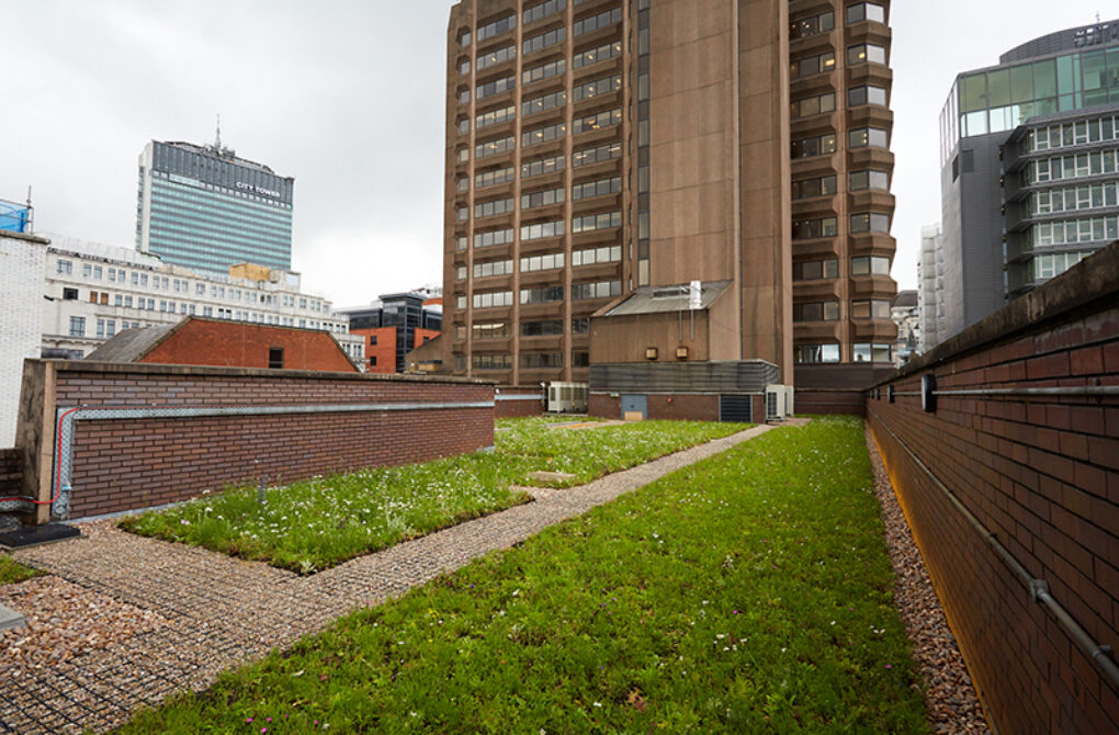 Smart Blue-Green Roof | UKGBC