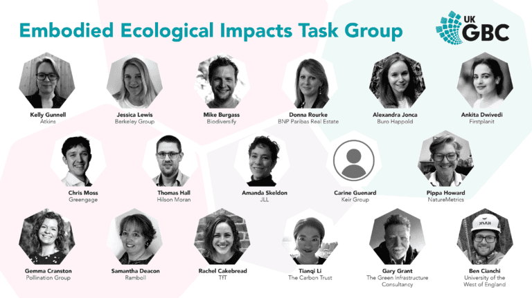 UKGBC announces new Embodied Ecological Impacts Task Group | UKGBC