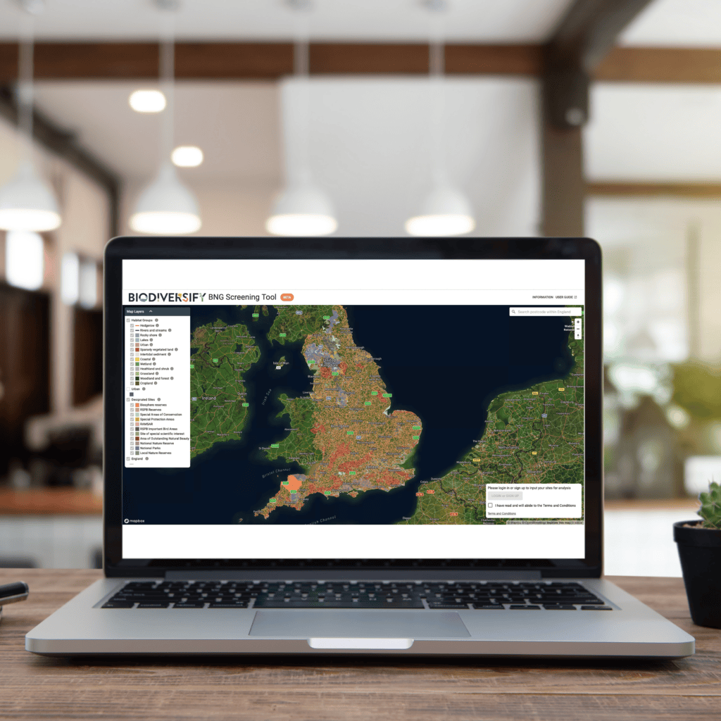BNG Screening Tool | UKGBC