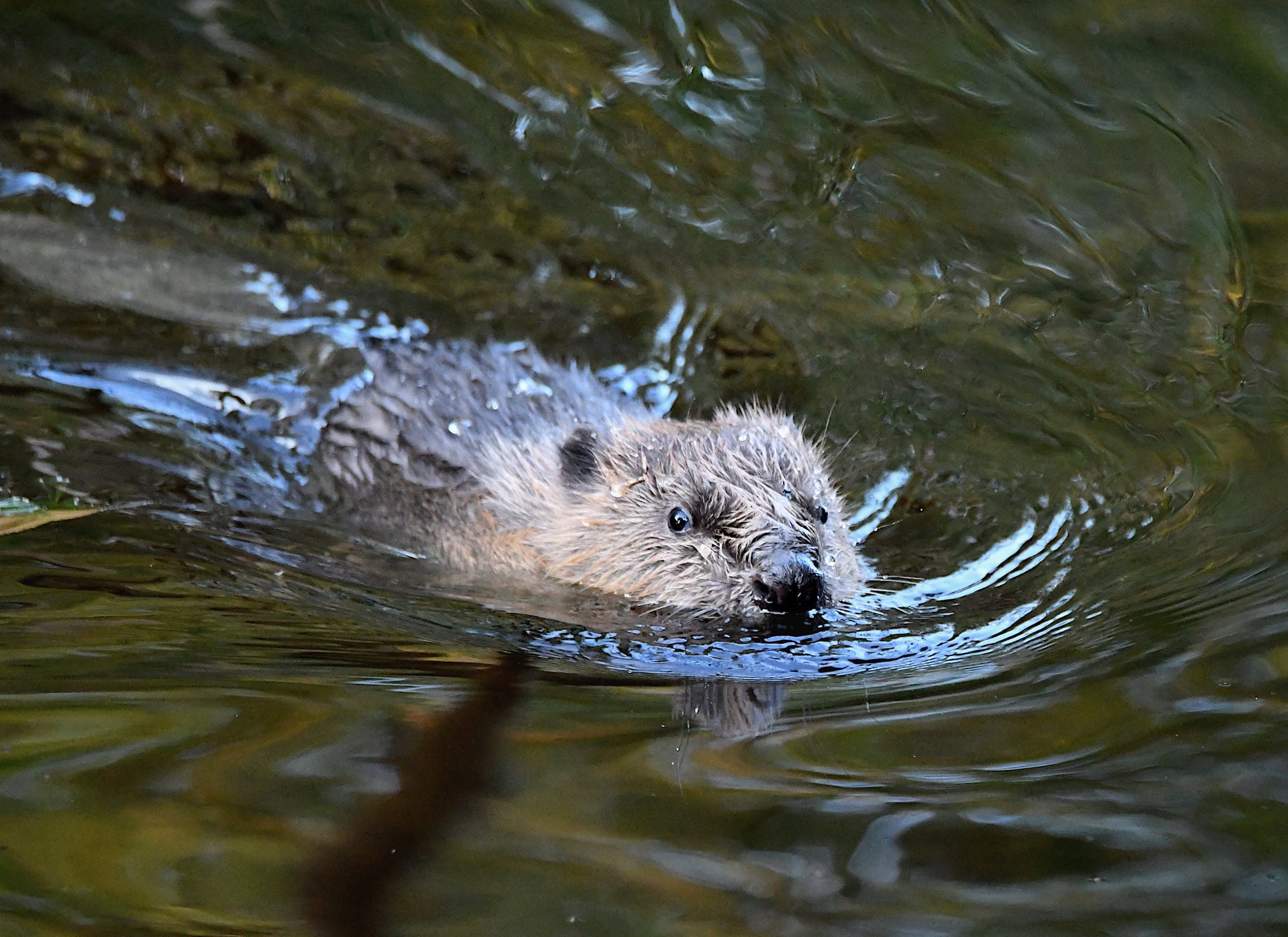 Environmental Impact of Aggregate Mining & Dredging | UKGBC