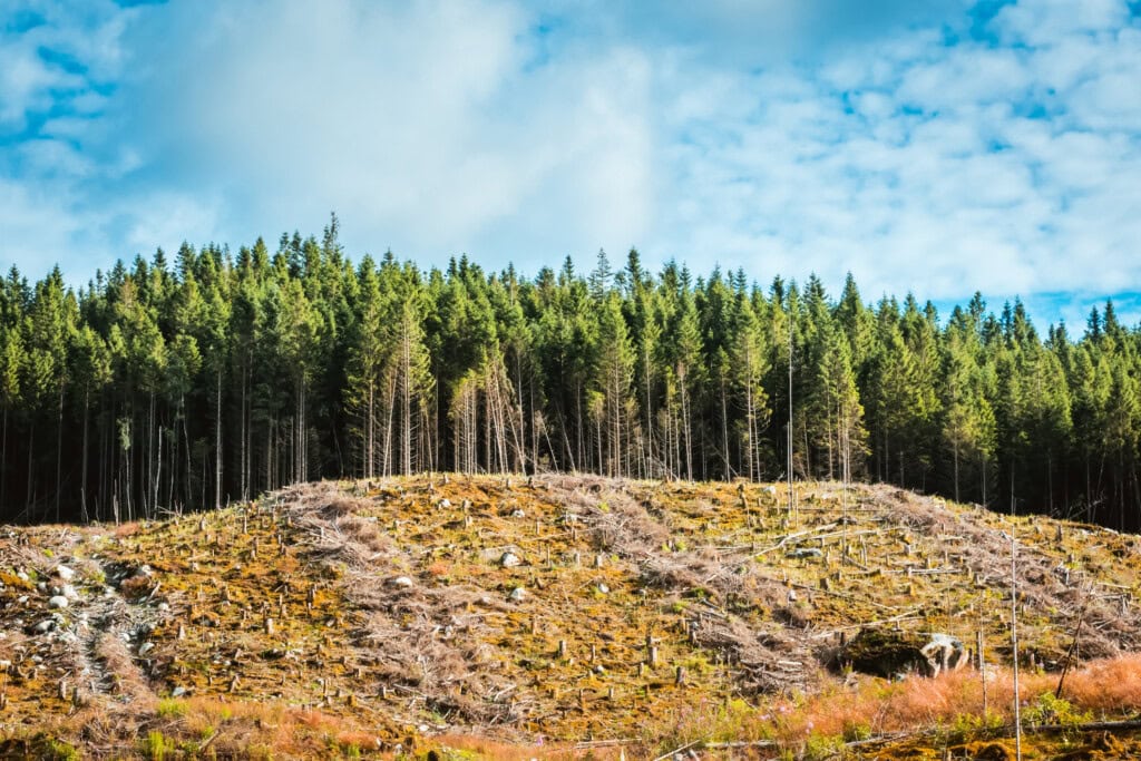 Embodied Ecological Impacts | UKGBC