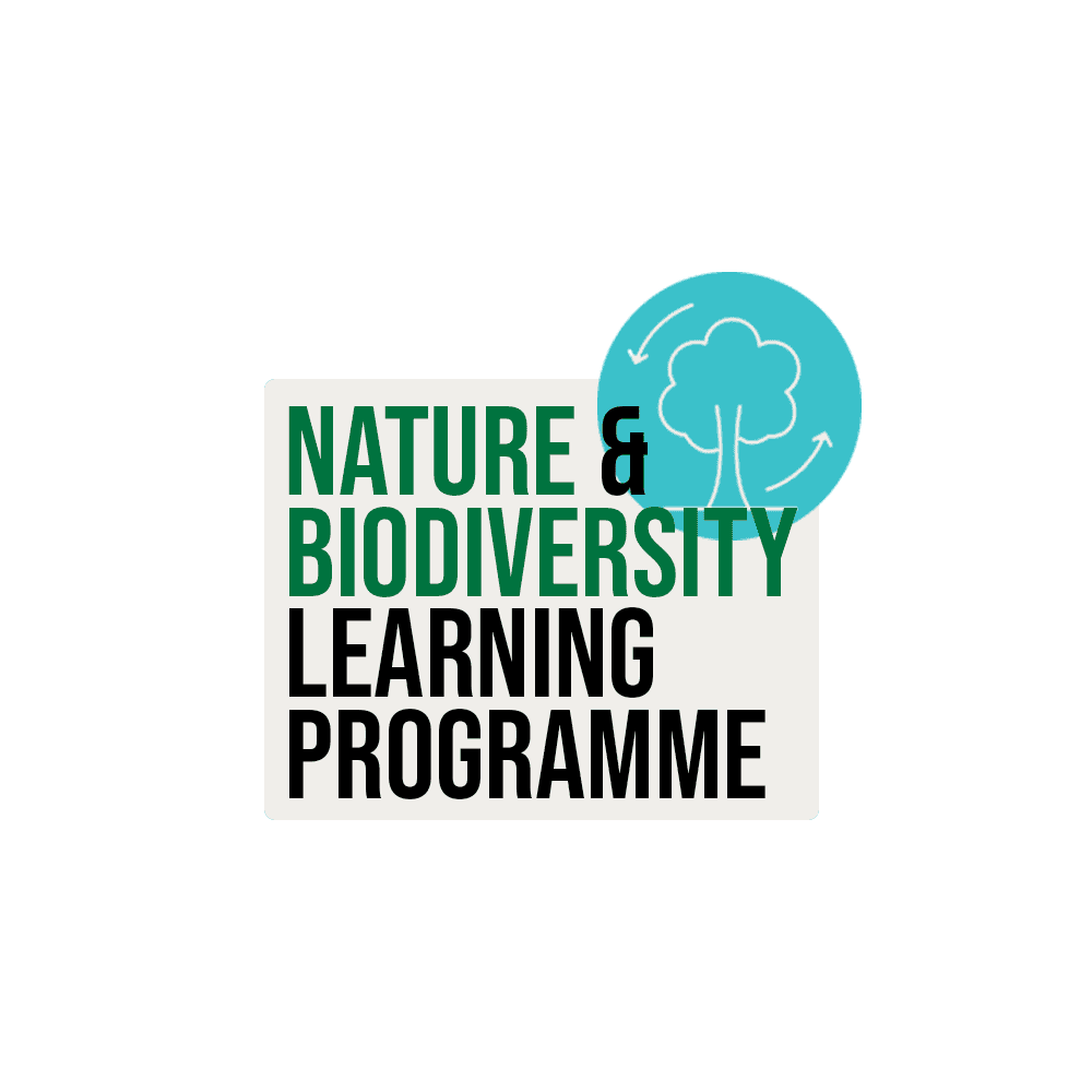 Learning & Leadership | UKGBC