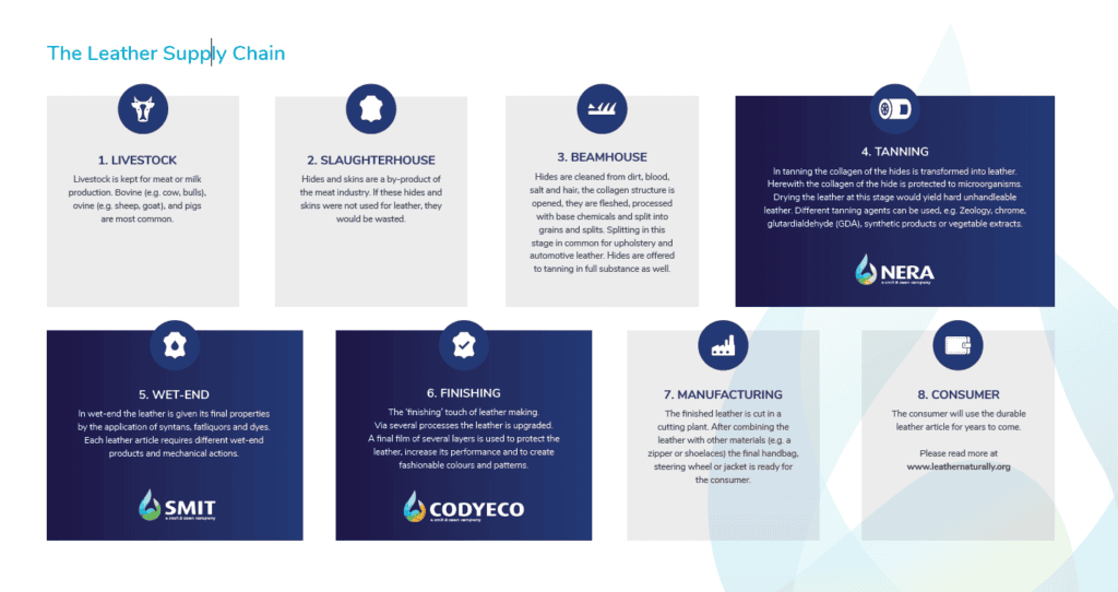 How is leather made? The 5 steps in leather making