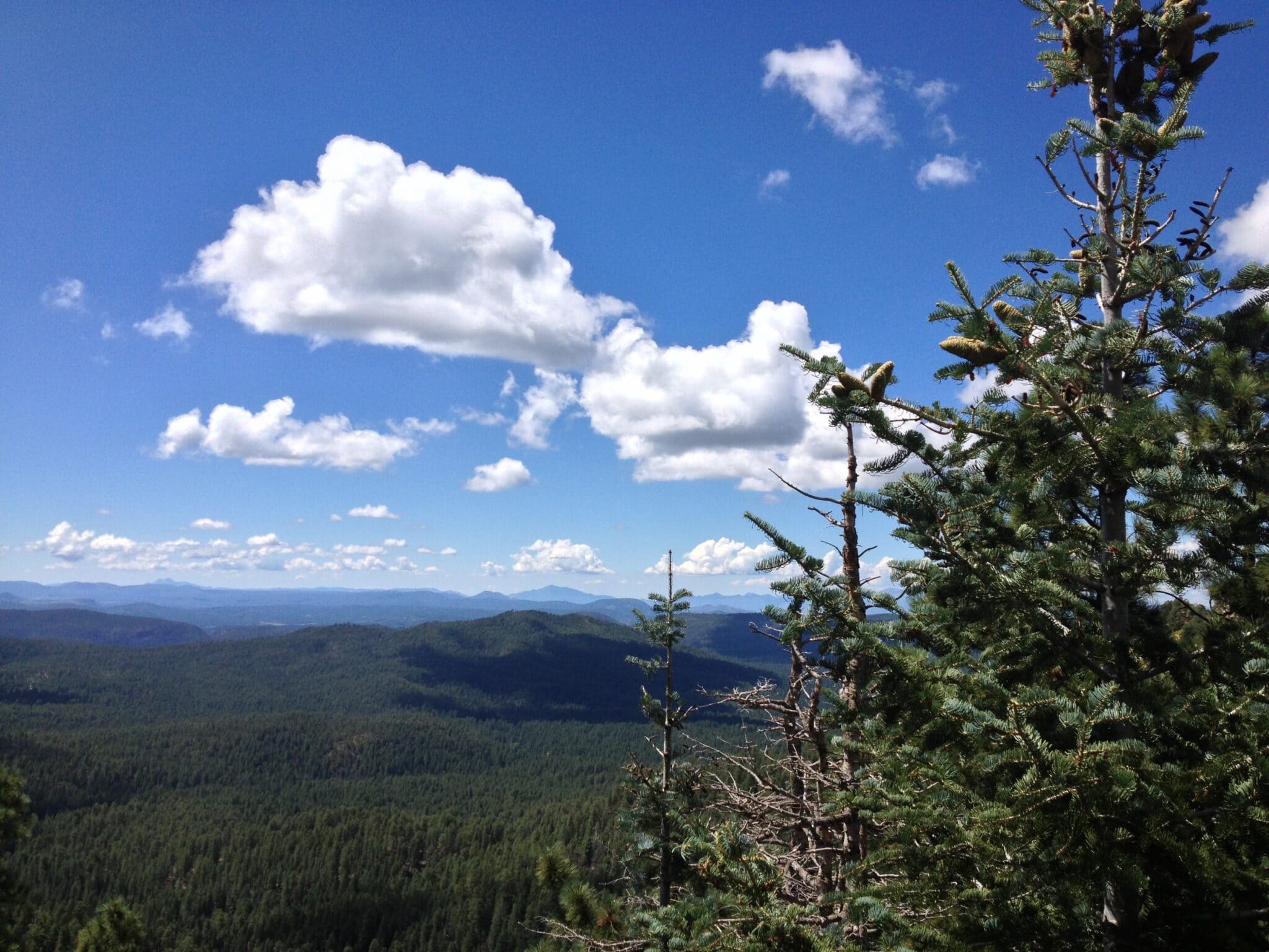 12 Things to Do in Payson With Kids - Phoenix With Kids