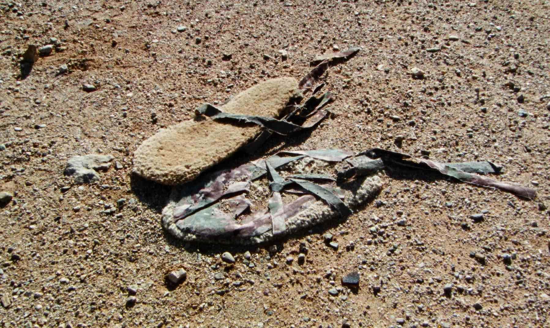 Review: El Mar La Mar - Slant Magazine