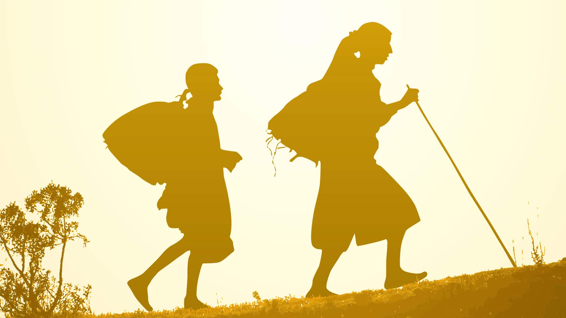 The 10 Best Documentaries of 2019 - Slant Magazine