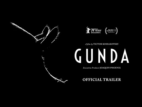 'Gunda' Review: The Eraserhead of Animal Documentaries