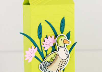 Box Templates - Chic n Scratch