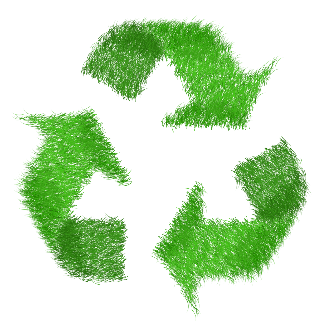 Recycling vs. Reusing: What's the Difference? | Impactful Ninja
