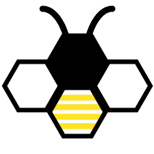 9 Best Charities That Help to Save the Bees (Complete 2026 List ...