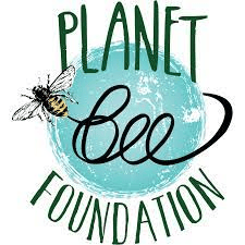 9 Best Charities That Help to Save the Bees (Complete 2026 List ...