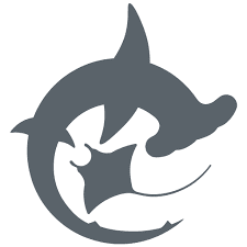 10 Best Charities for Protecting Sharks (Complete 2026 List ...