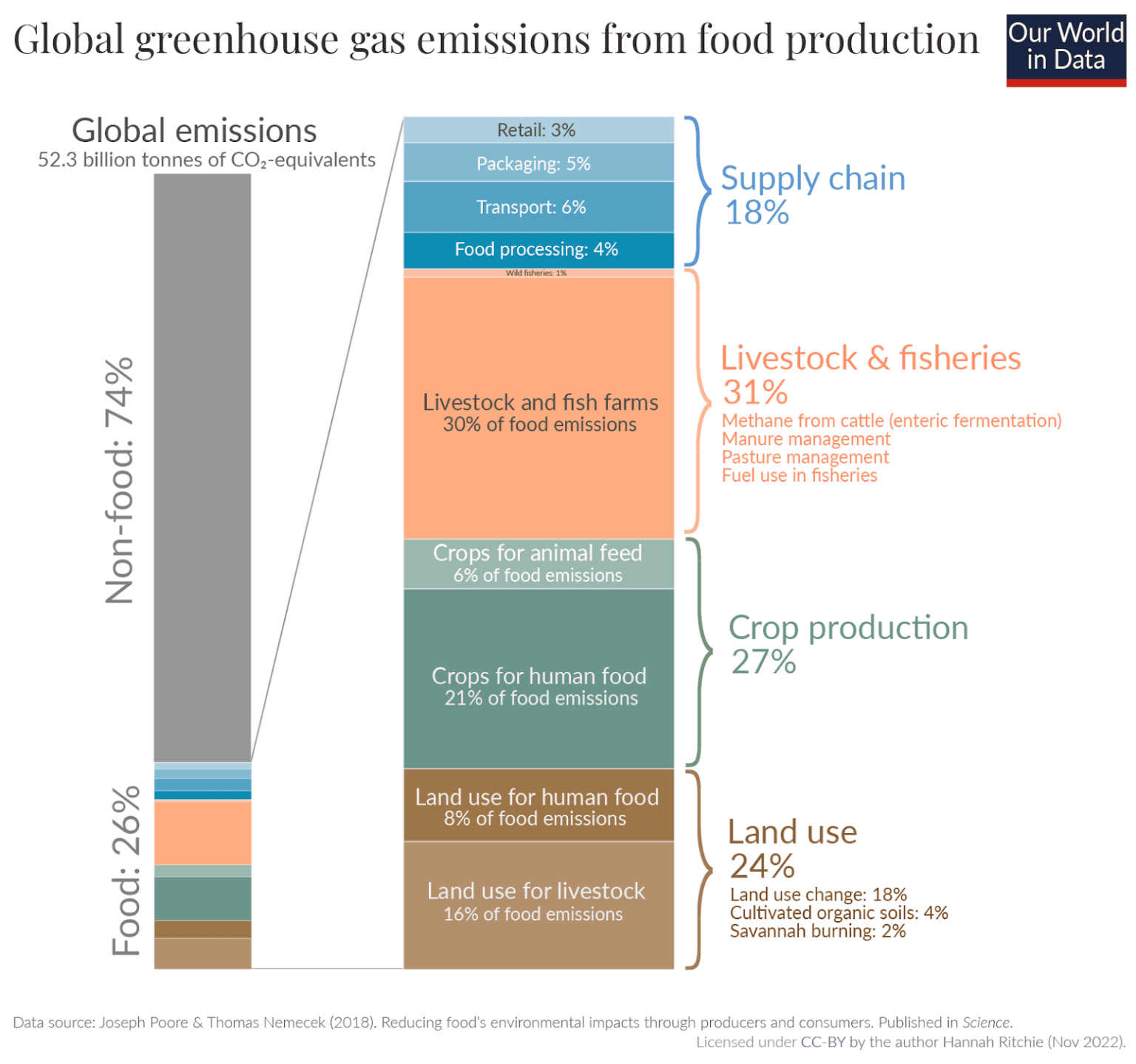 The Environmental Impact of Tomatoes: From Farm to Table | Impactful Ninja