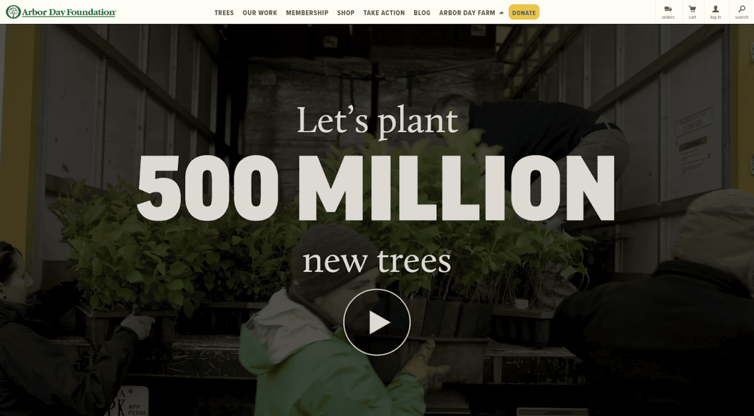 19 Best Carbon Offsets (Complete 2025 List) | Impactful Ninja