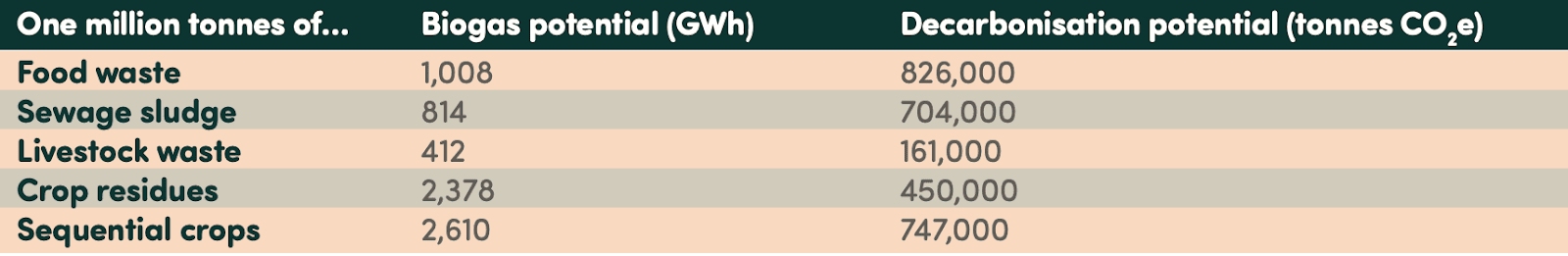 Biomass Energy Explained: All You Need to Know | Impactful Ninja