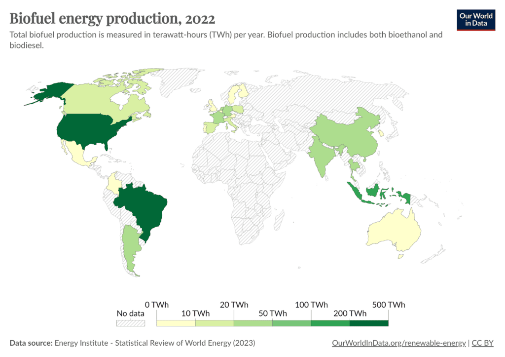 Biomass Energy Explained: All You Need to Know | Impactful Ninja