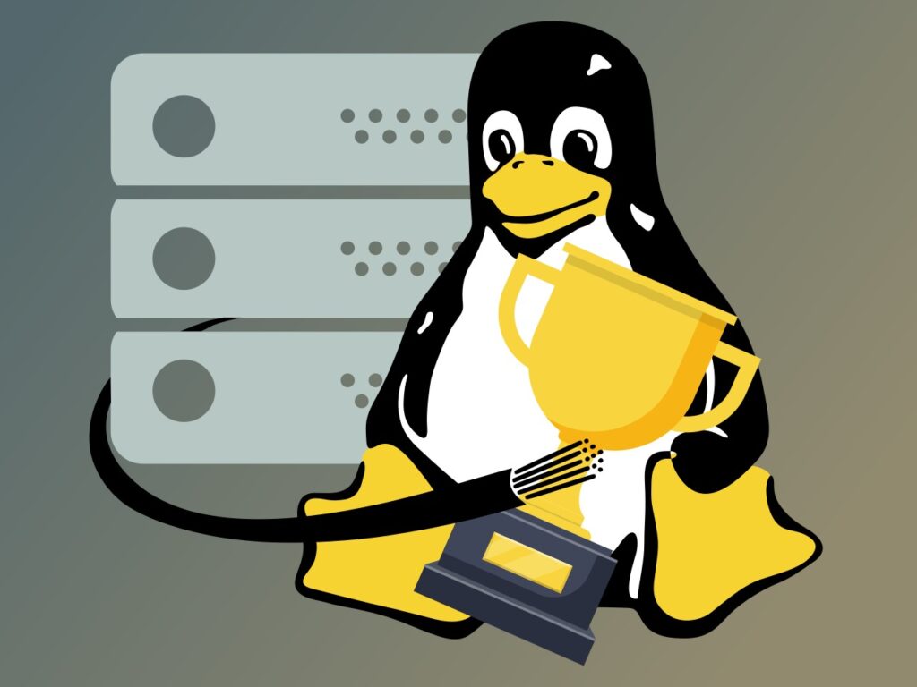5 Best Linux Distro Releases for Servers in 2022: Our Top Picks