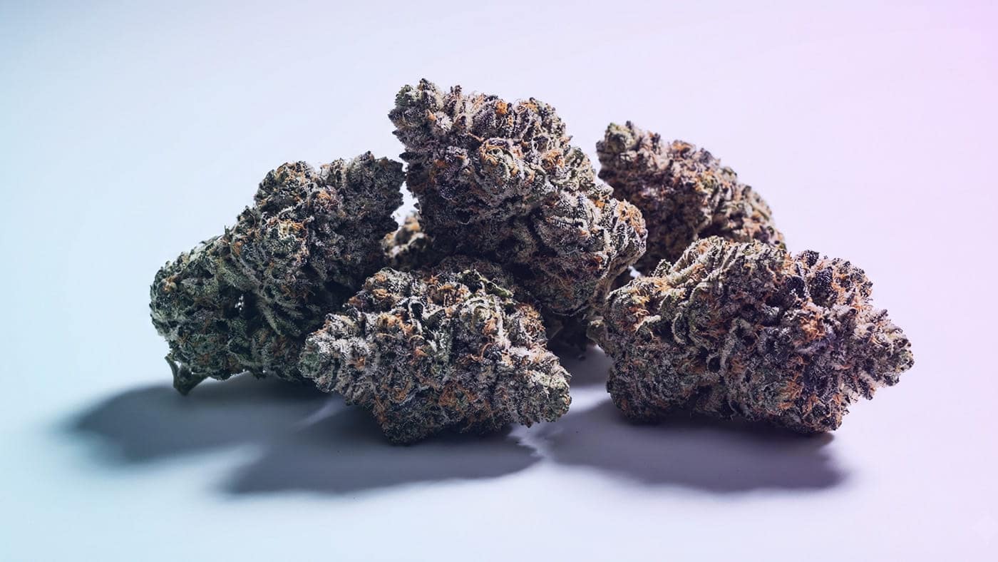 Runtz Premium THCA Flower: Exotic Candy Terpenes| Best Strain of 2026