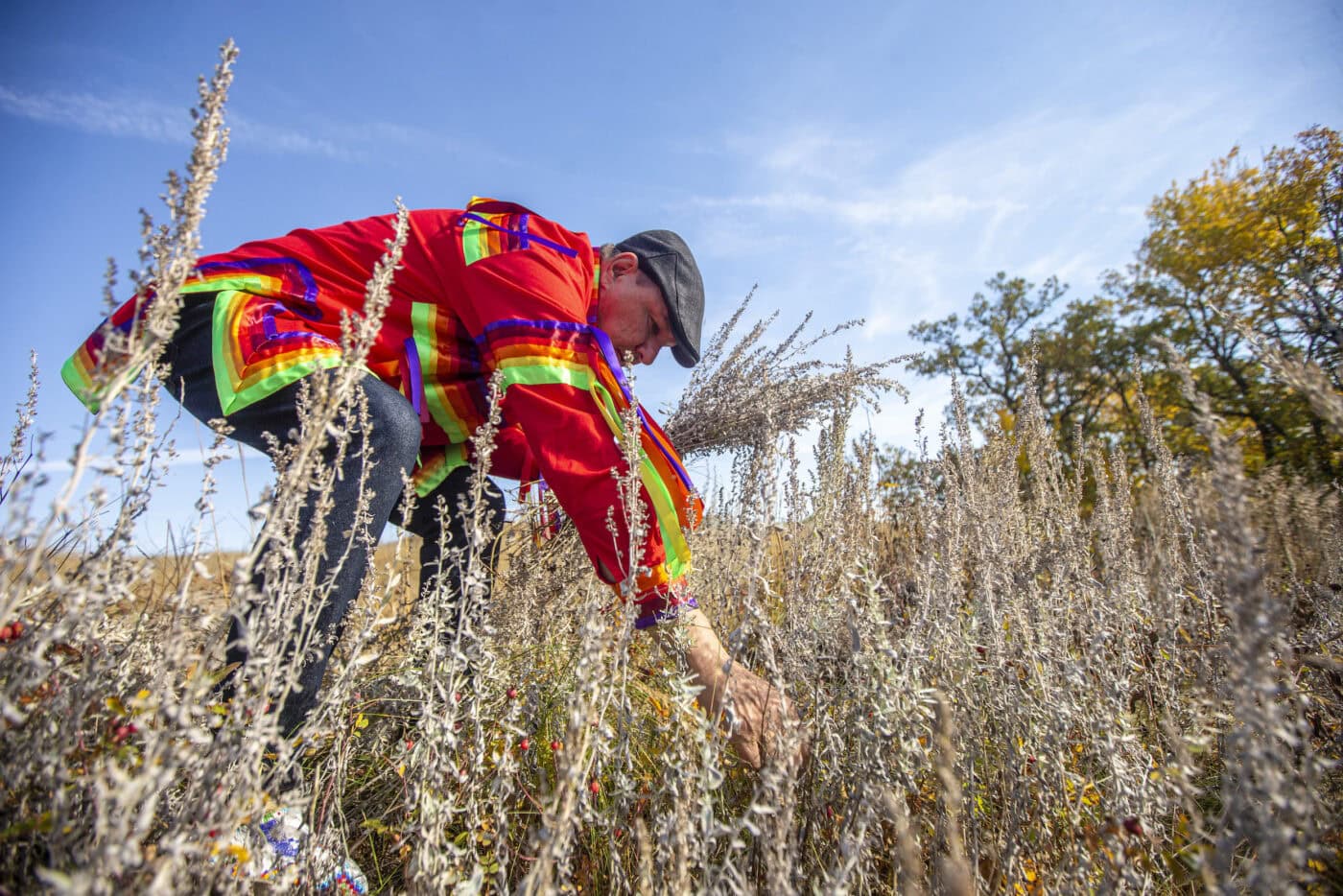 The history of Indigenous farming on the Prairies | The Narwhal