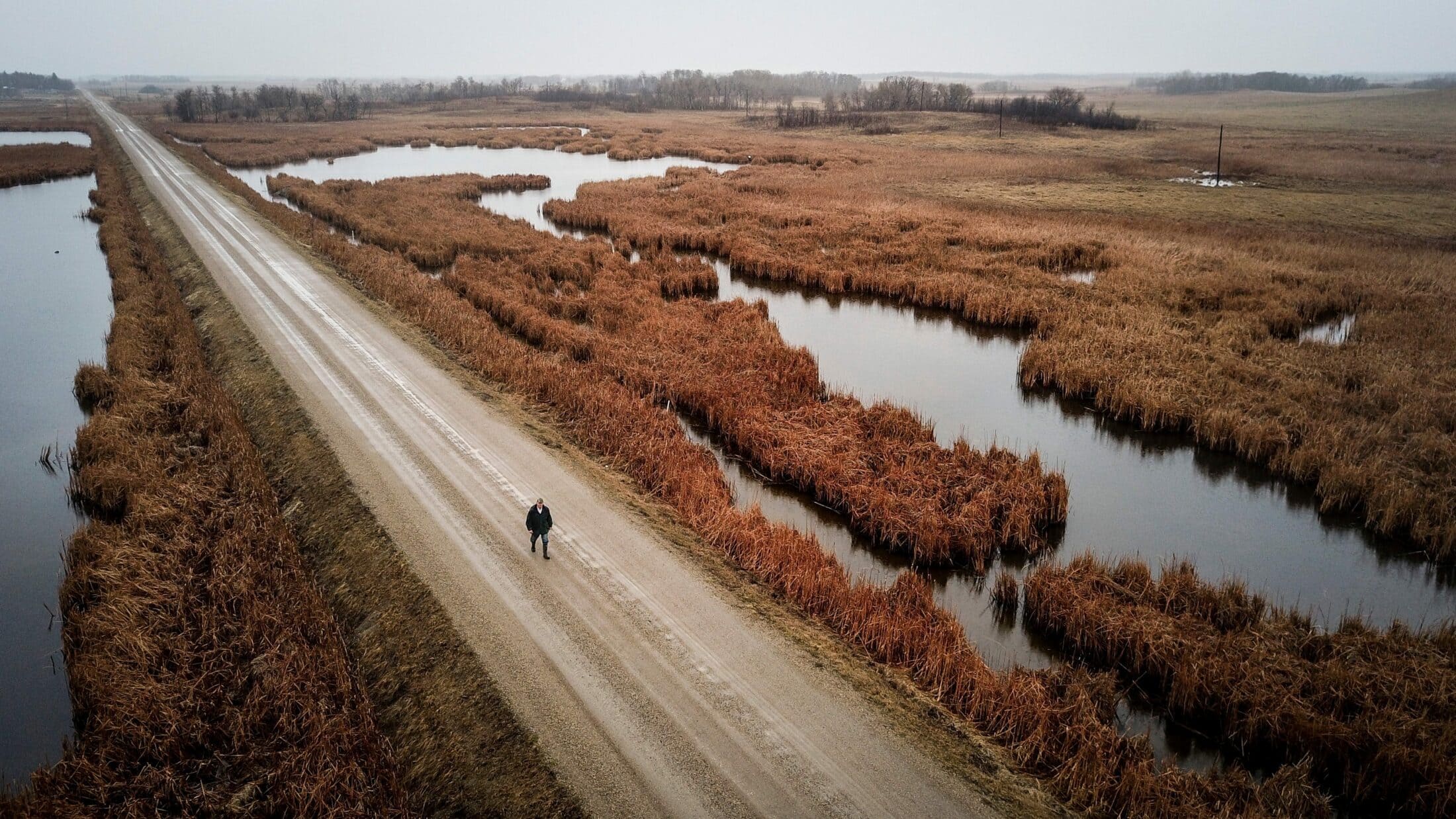 Manitoba farmers buck the trend on wetland destruction | The Narwhal