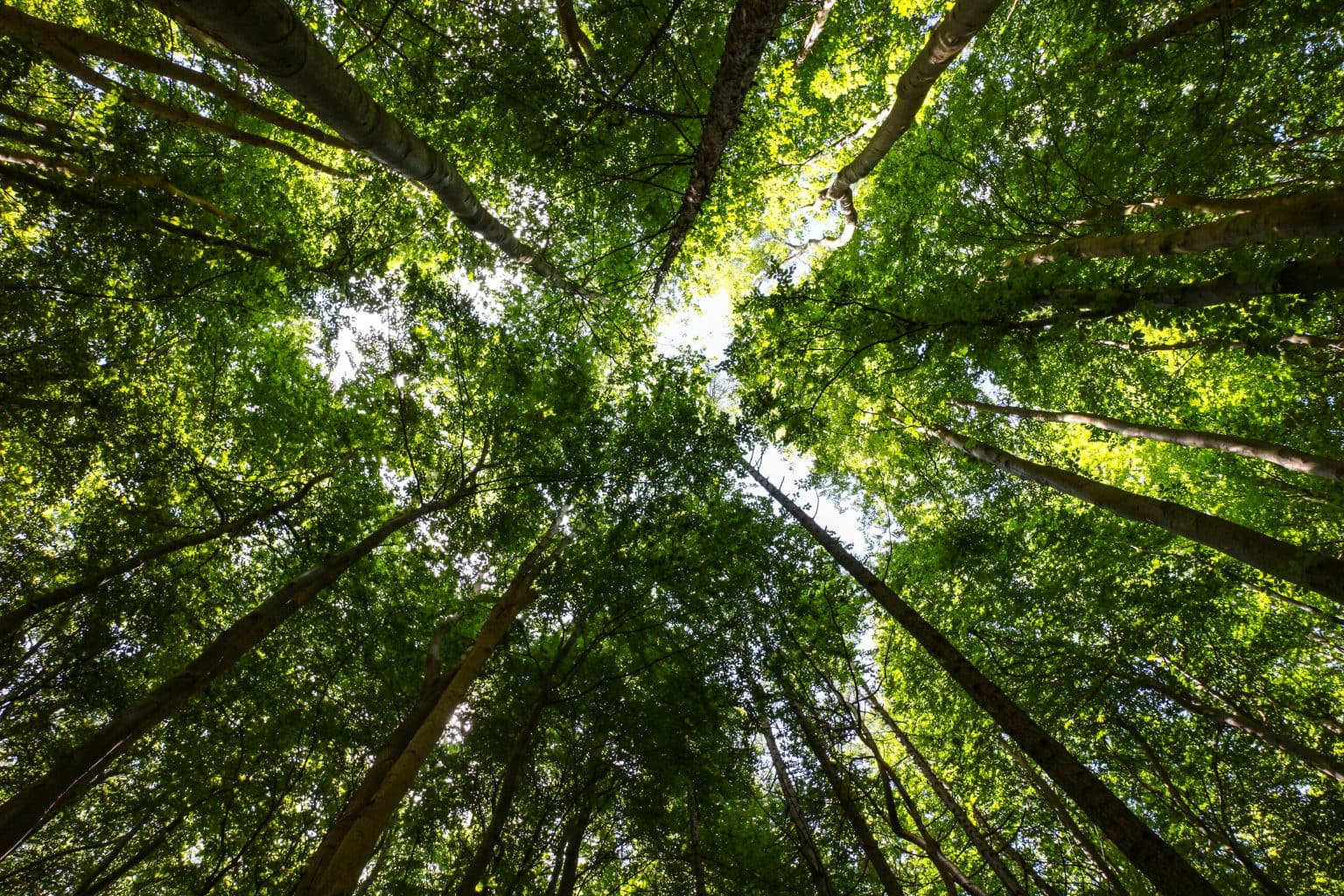 The Do’s and Don’ts for Deconstructability | UKGBC