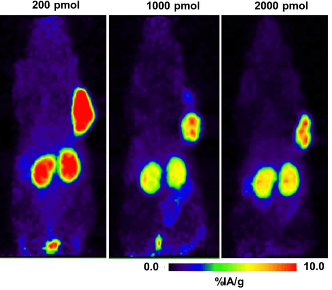 Dose Optimization Considerations For Targeted Radiation Therapies サターラ