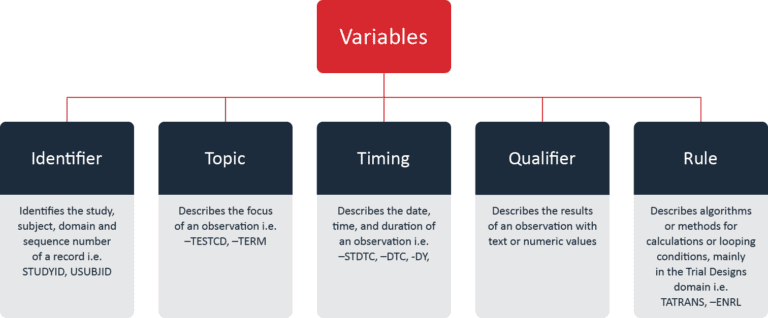 SDTM | Everything You Need to Know | Certara