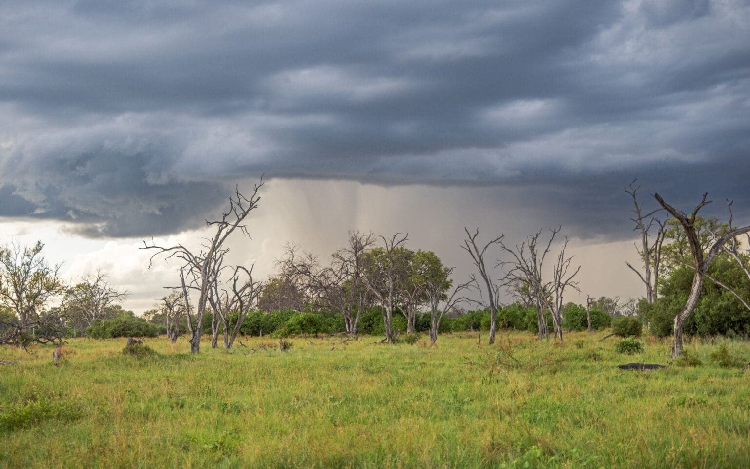 Botswana Safari Tours | Discover Africa